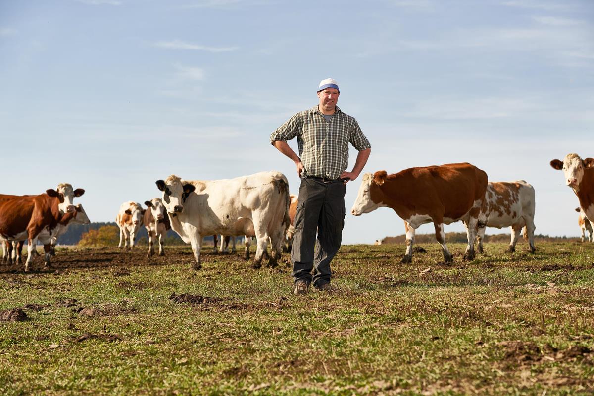 Patrick Felten - Producteurs - Témoignages - Fairebel - Le label des ...